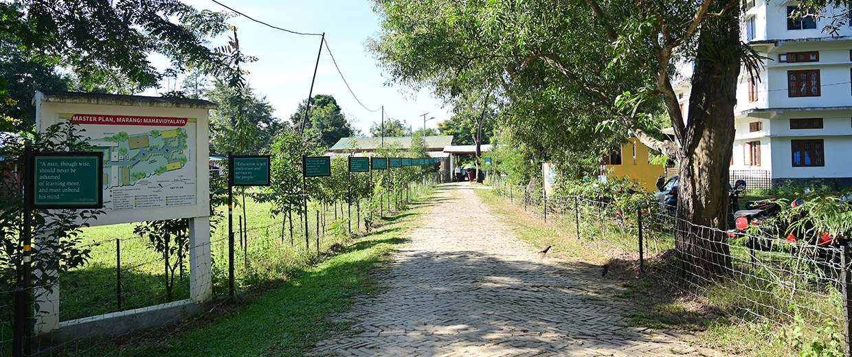 Marangi Mahavidyalaya – College Website